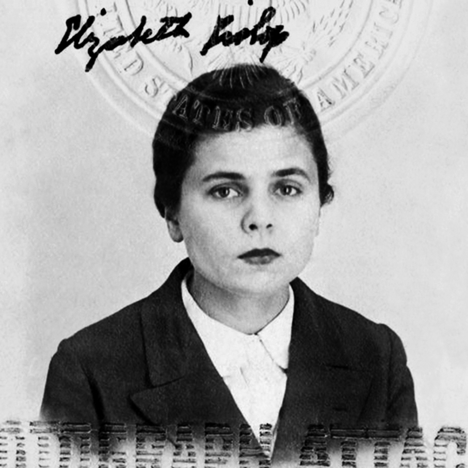 ‘Elizabeth Bishop viveu luta bem-sucedida da fala contra o silêncio ...