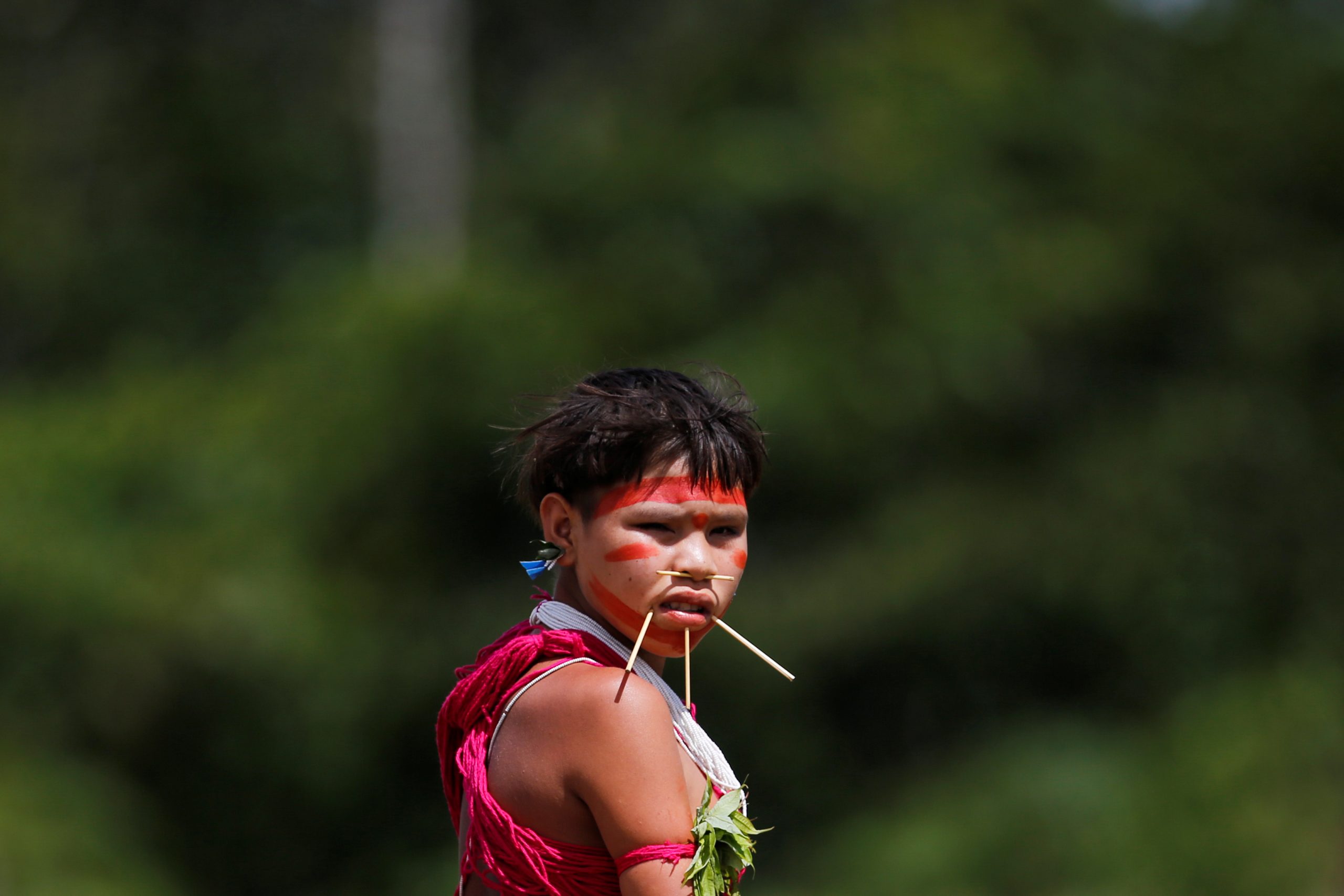 Yanomami: origem, história, práticas e visões de mundo - Nexo Jornal