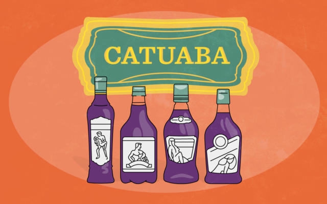 O que é, de onde vem e qual o teor alcoólico da Catuaba - Nexo Jornal