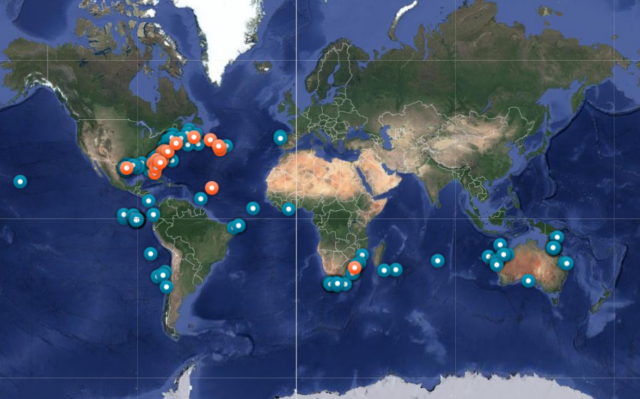 Este mapa mostra o caminho de quase 200 tubarões pelo mundo - Nexo Jornal