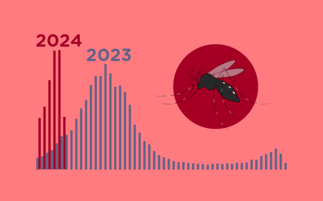 O aumento dos casos de dengue em 2024
